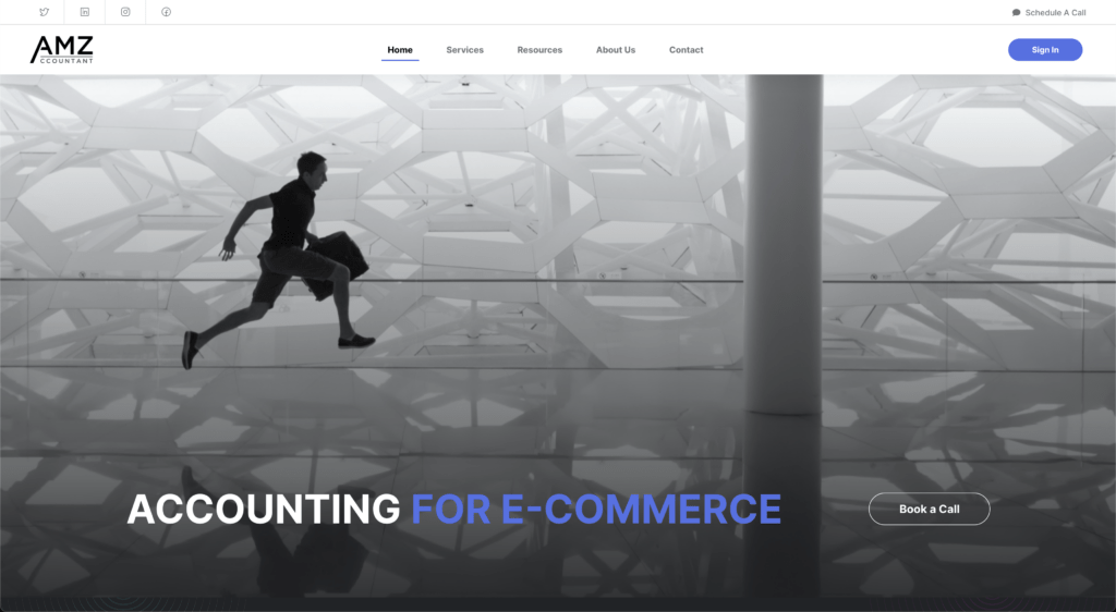 AMZ Accountant » Bee Techy, LLC.